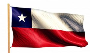 Palos para Bandera | Hernan Terraza